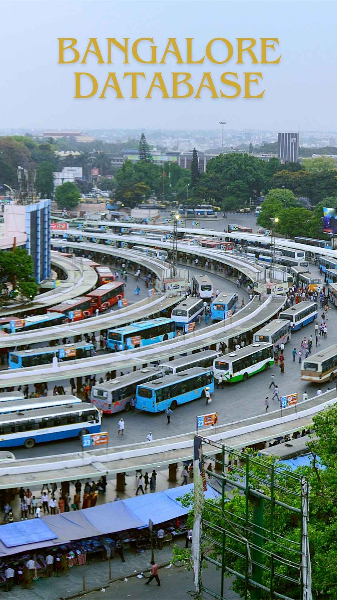 5 Reasons Why Database Providers in Bangalore Are Key to Your Business ...